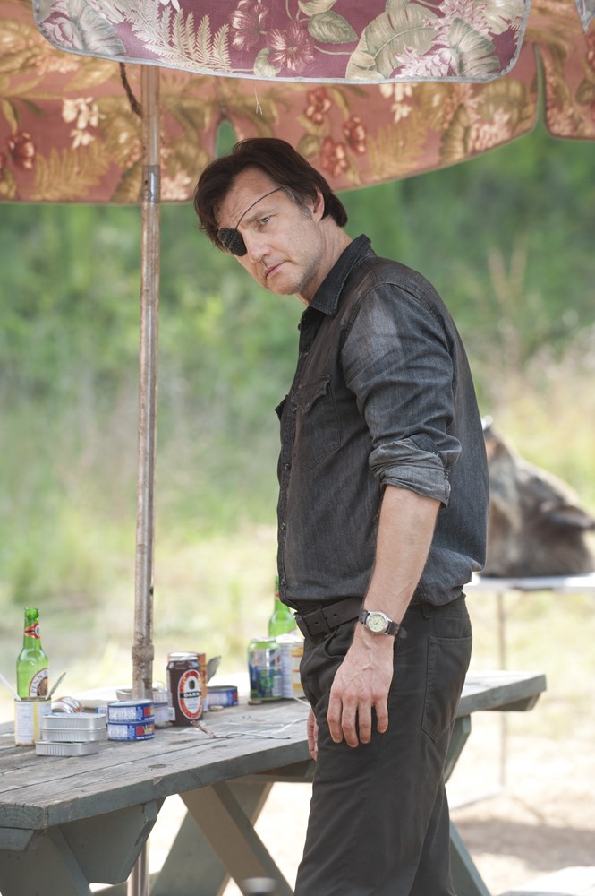 David Morrissey - Actor