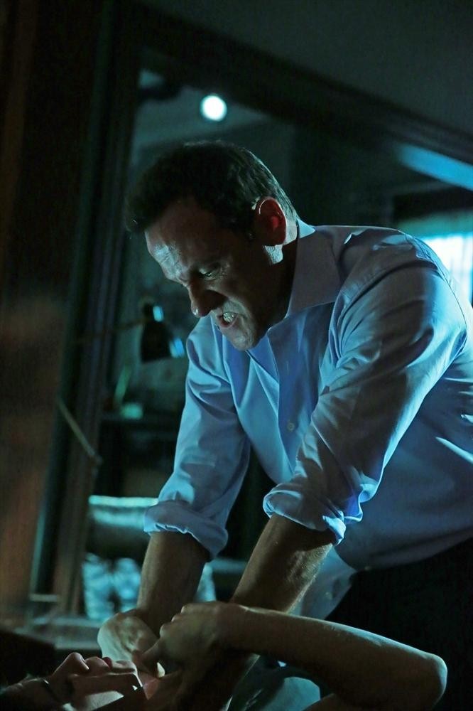 Tom Verica - Actor, Director