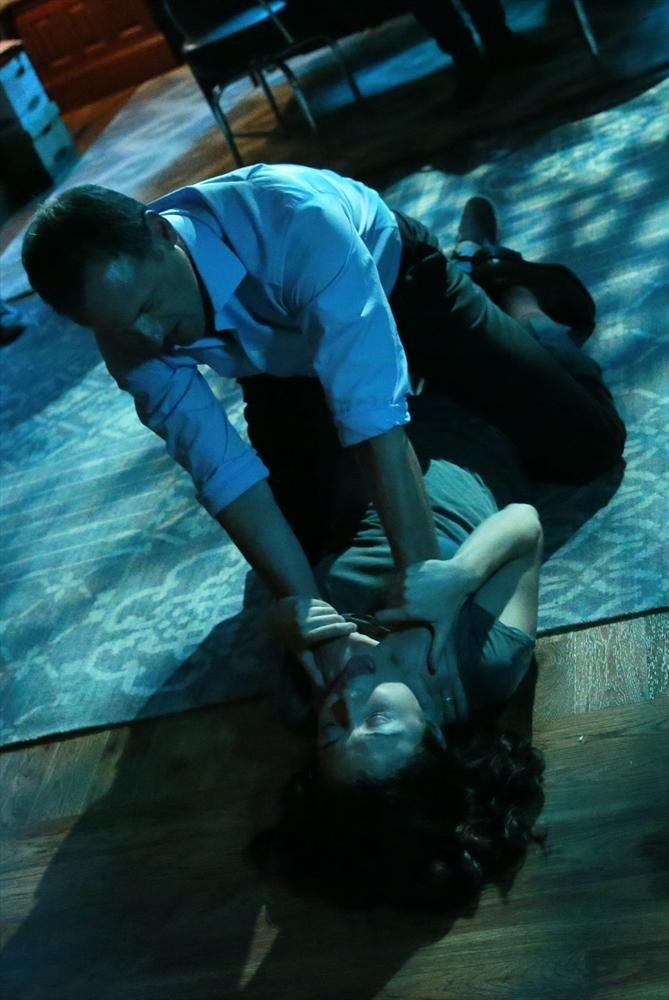 Tom Verica - Actor, Director