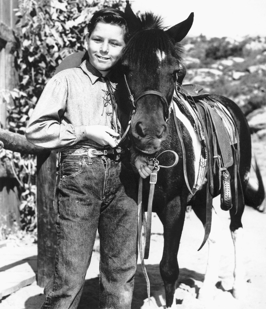 Jimmy Hawkins - Actor, Producer, Writer