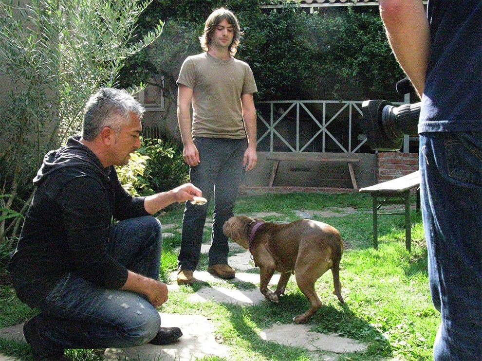Cesar Millan - Dog Trainer