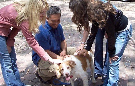Cesar Millan - Dog Trainer
