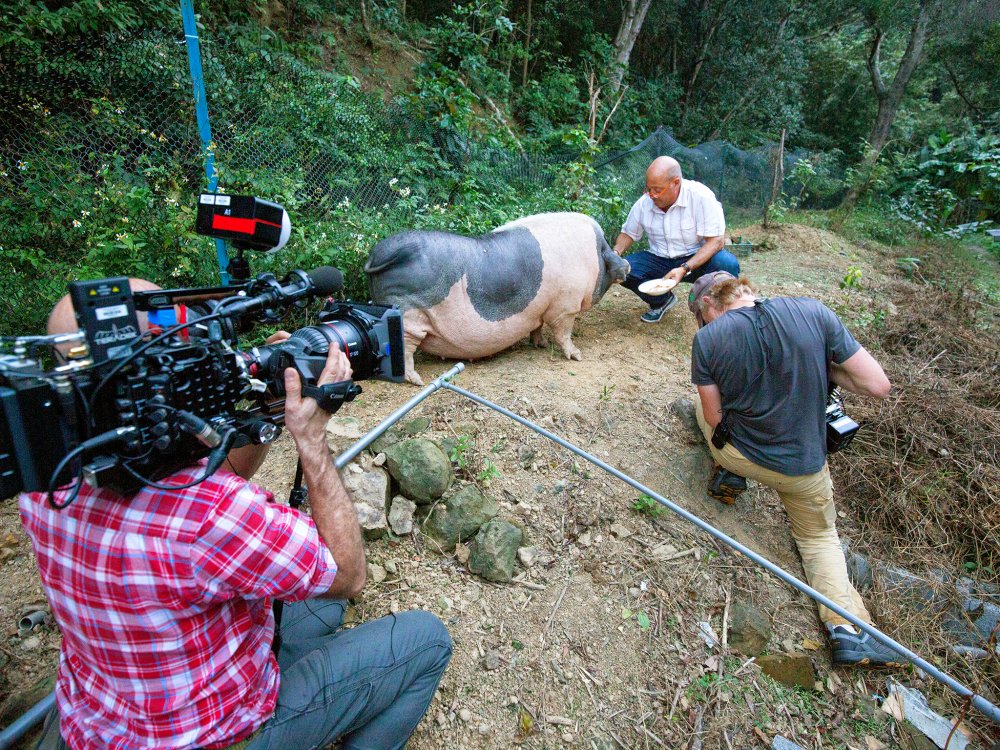 Andrew Zimmern - Host, Restaurateur, Producer, Chef