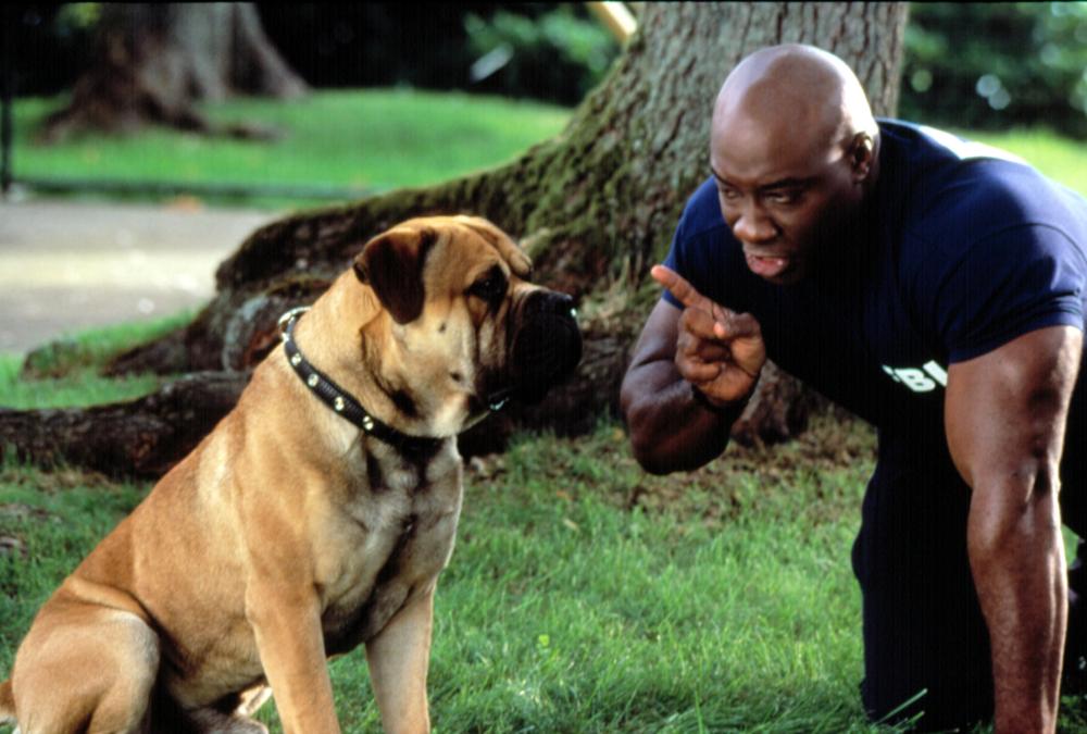 Michael Clarke Duncan - Actor