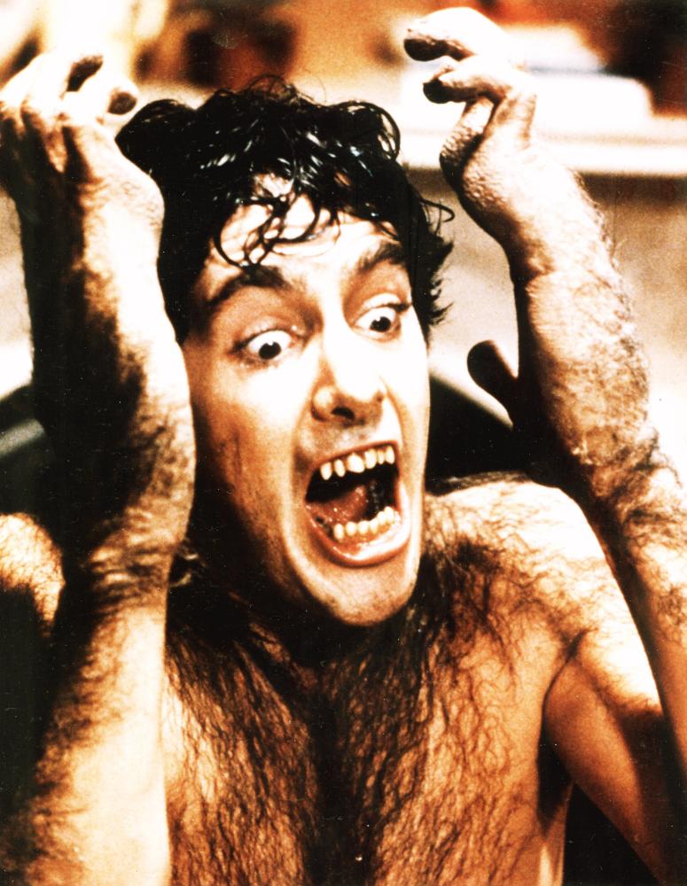 David Naughton - Actor, Singer