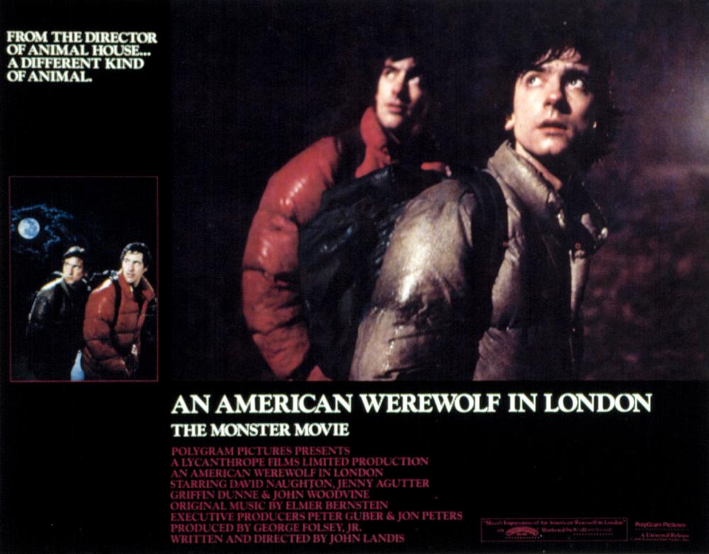 David Naughton - Actor, Singer