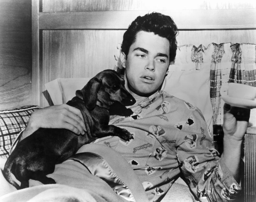 Richard Beymer - Actor