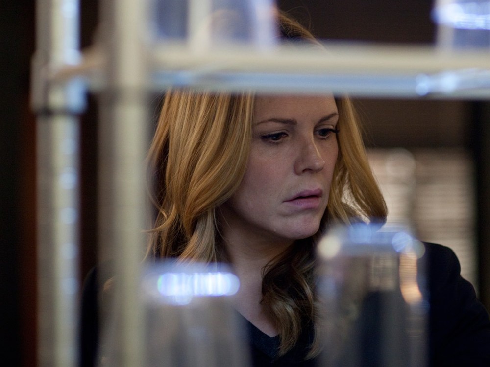 Bonnie Mccormick's Instagram, Twitter & Facebook on IDCrawl