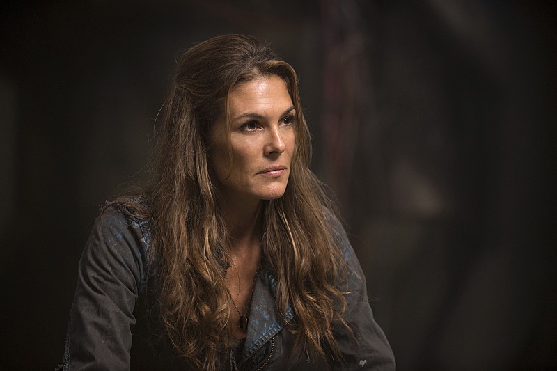 Paige Turco - Actress